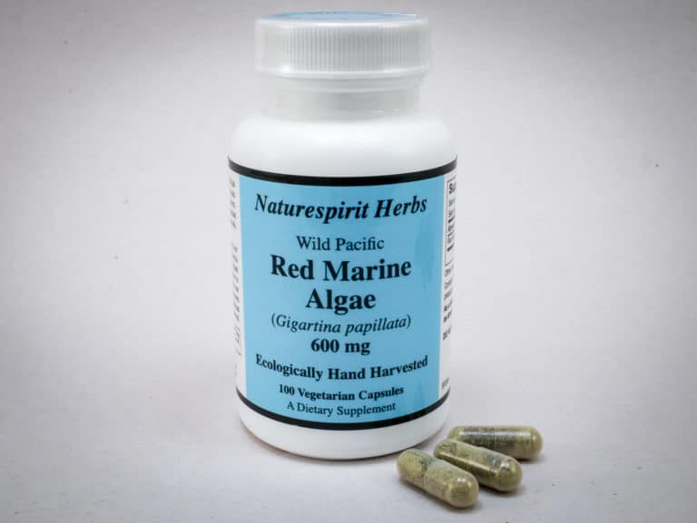 Red Marine Algae Capsules – Naturespirit Herbs
